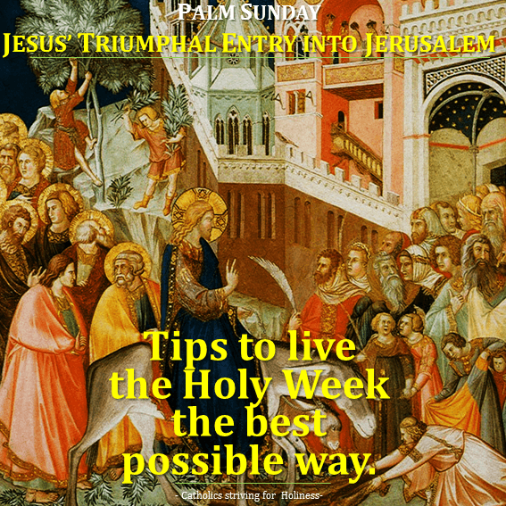 Palm Sunday - Best Possible Way To Live Holy Week - Catholics Striving ...