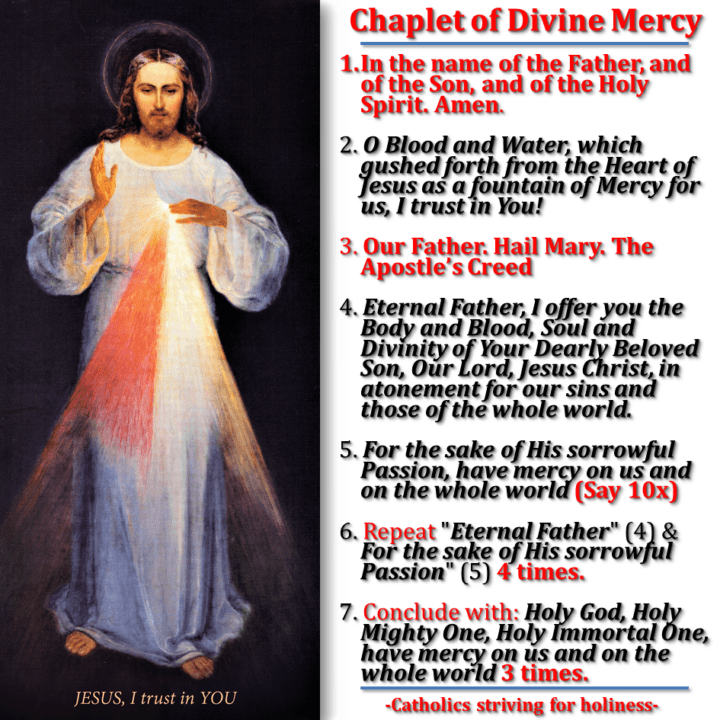 HOW TO PRAY THE DIVINE MERCY CHAPLET INFOGRAPHIC