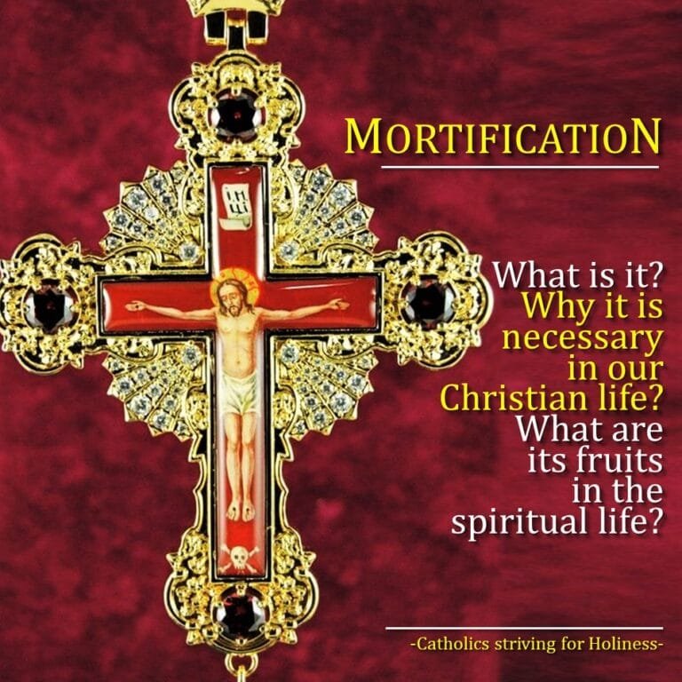 MORTIFICATION: WHAT IS IT, WHY IT IS NECESSARY IN CHRISTIAN LIFE, AND ...