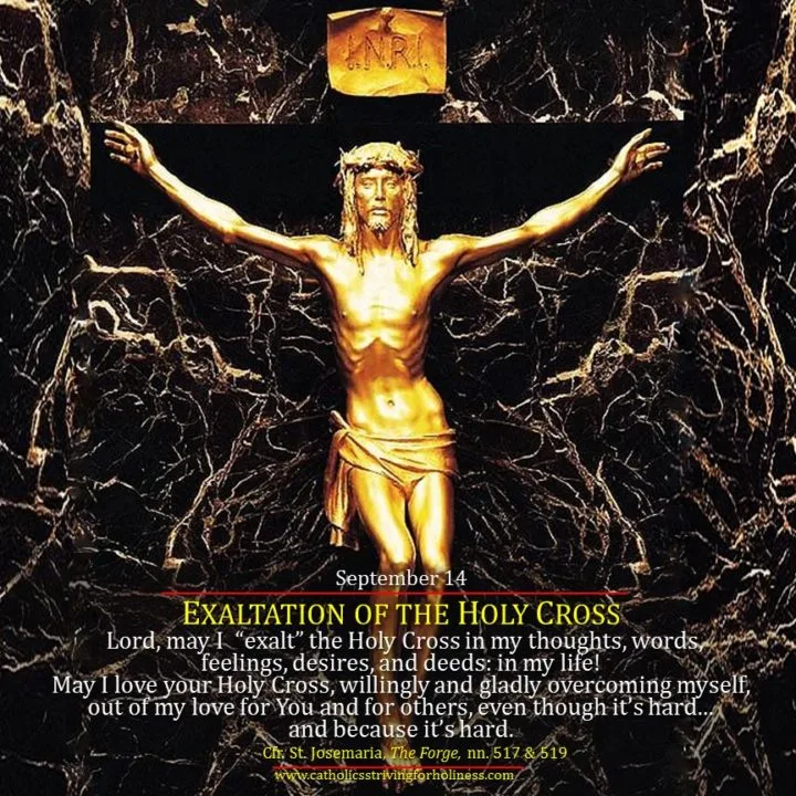Sept. 14: HOMILY FOR EXALTATION OF THE HOLY CROSS. May We "exalt ...